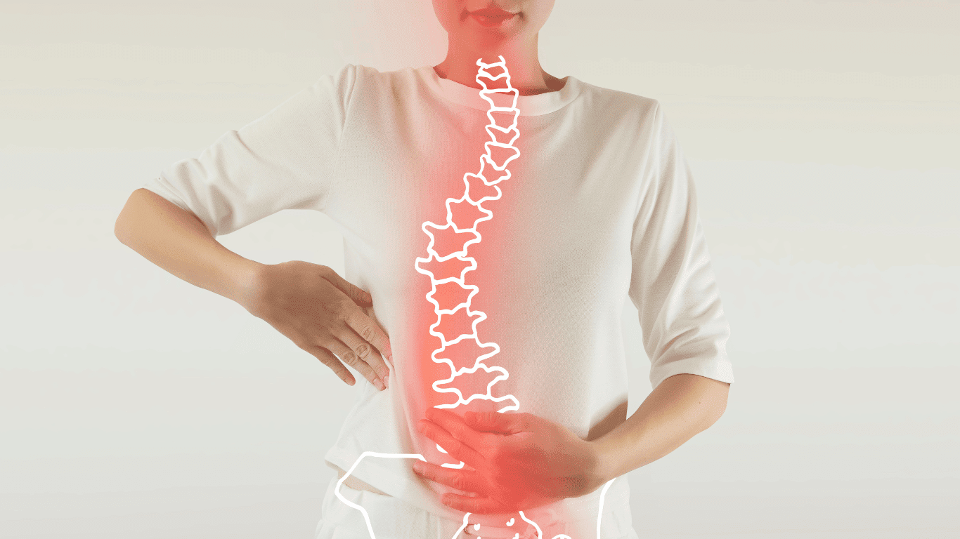 Omurga Sağlığı İçin Egzersiz Önerileri - Özel Doğa Hospital